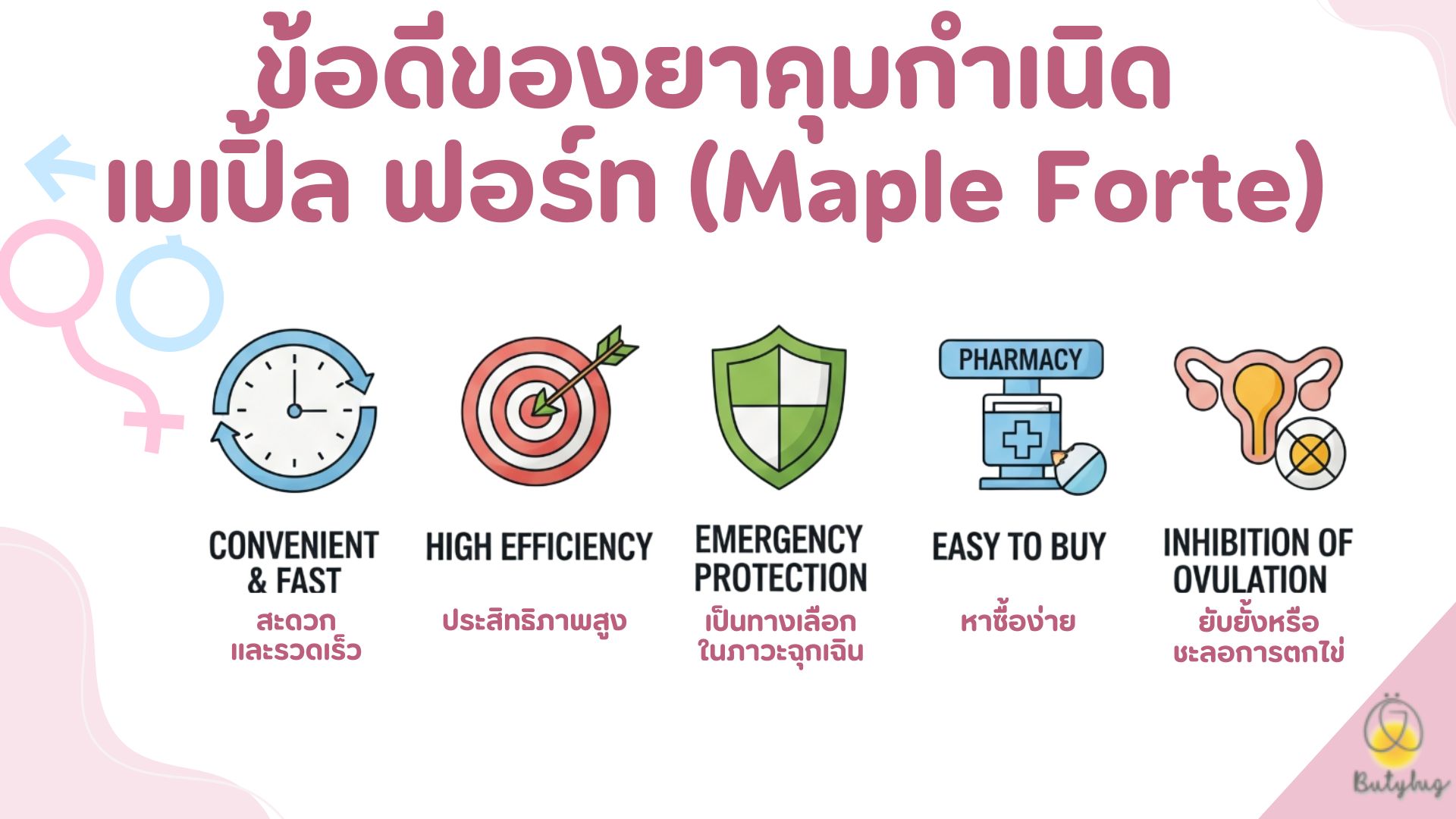 ยาคุมกำเนิด เมเปิ้ล ฟอร์ท (Maple Forte) - BUTYBUG